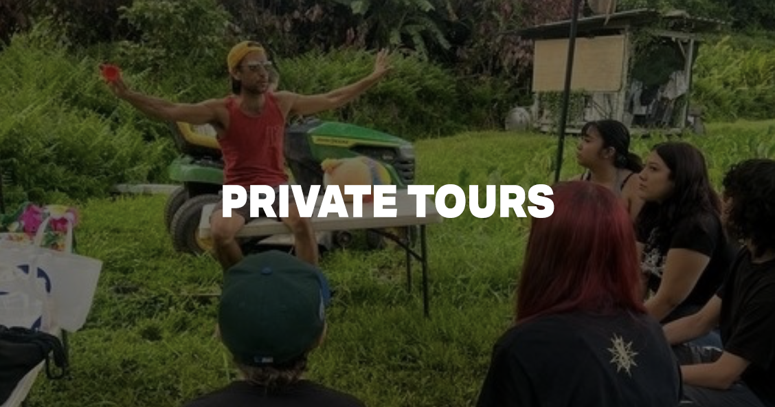 Private Tour – Aloha Adventure Ohana
