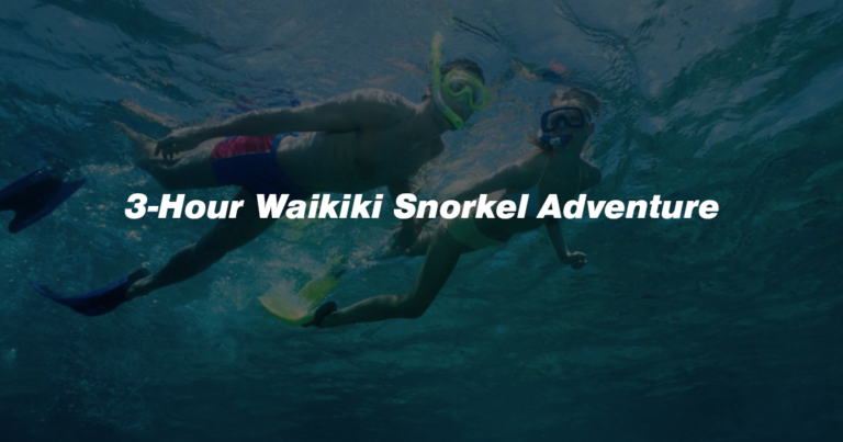 Snorkel Adventure – Aloha Adventure Ohana