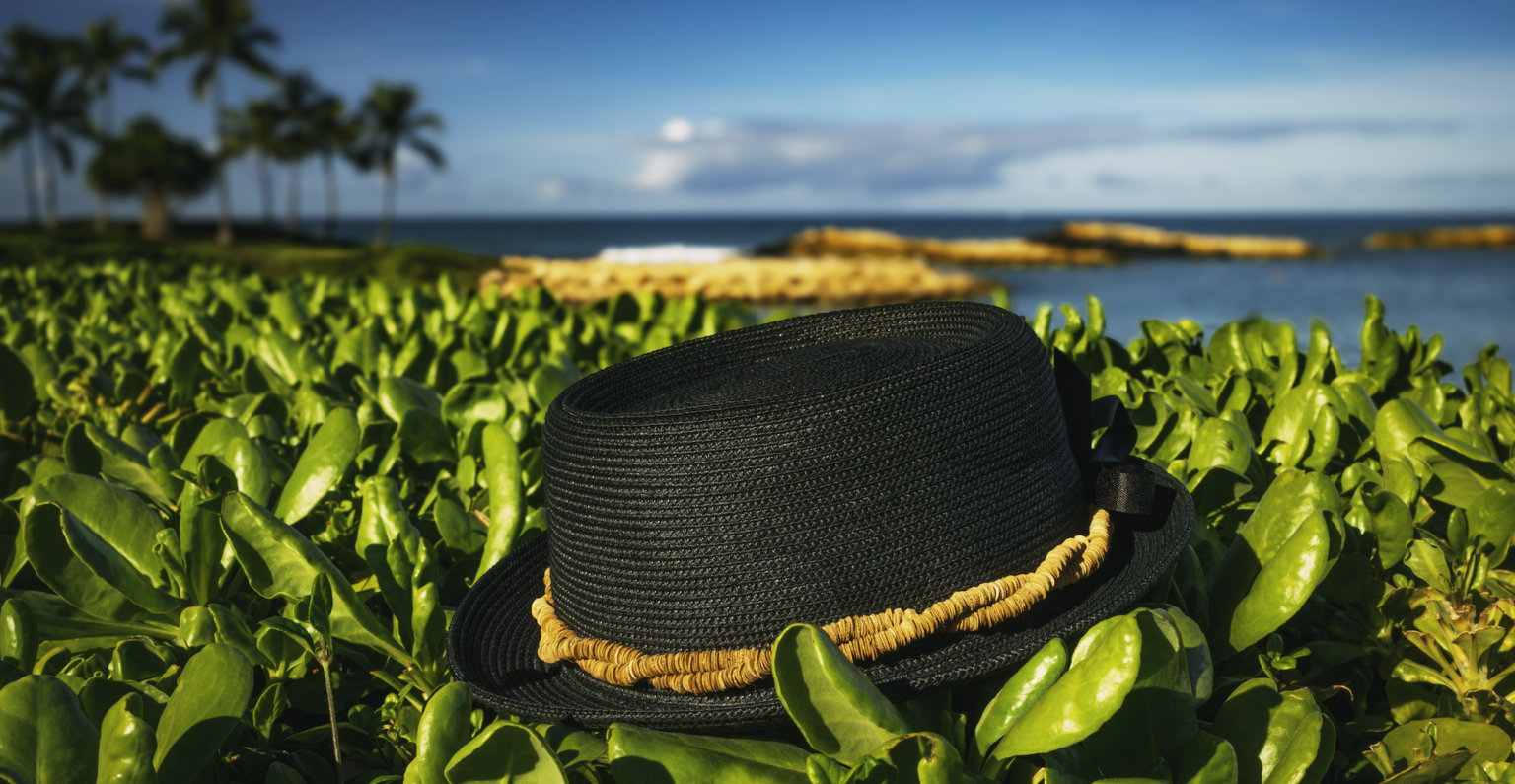 About Us – Aloha Adventure Ohana